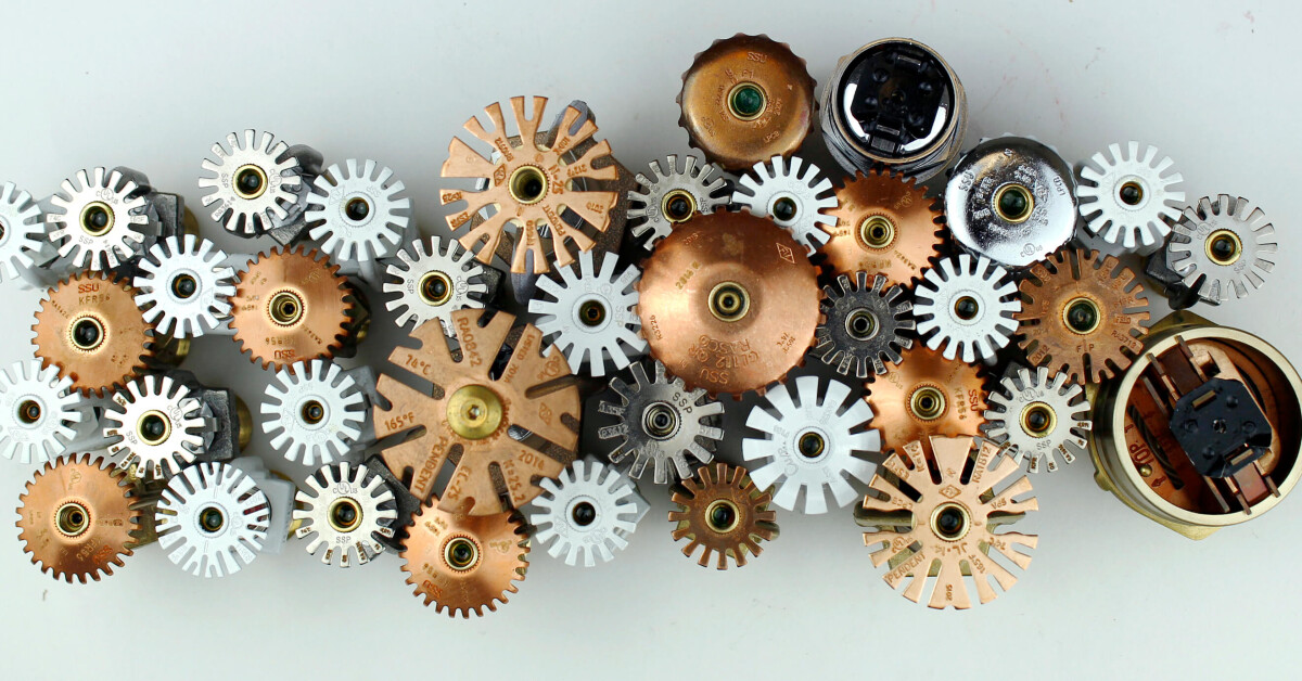 OFQUAL approval for BAFSA's Level 3 qualification - BAFSA